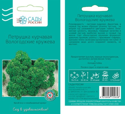 Петрушка курчавая Вологодские кружева купить по низкой цене на Все Свое ...